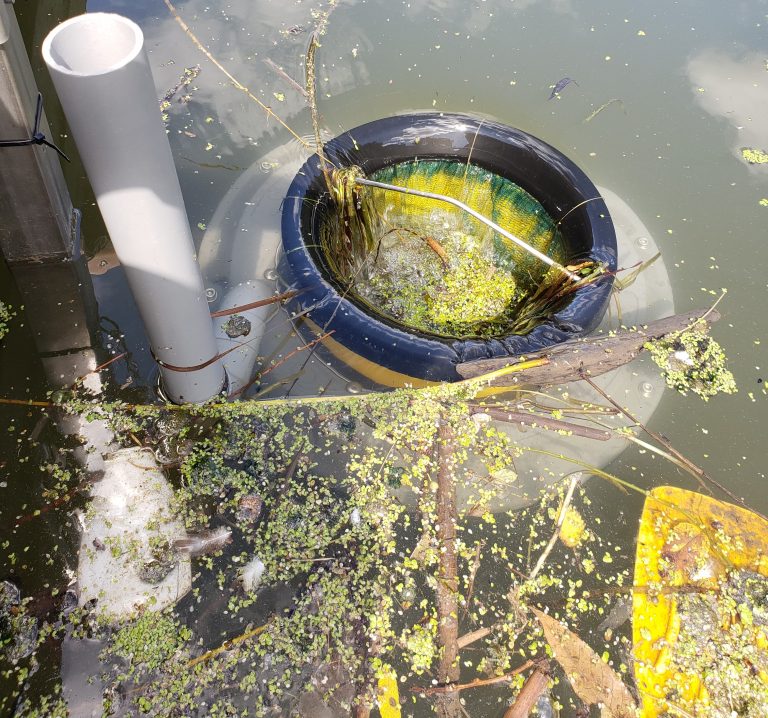 City’s New Water Waste Collector to Keep Plastic and Debris out of Lake ...