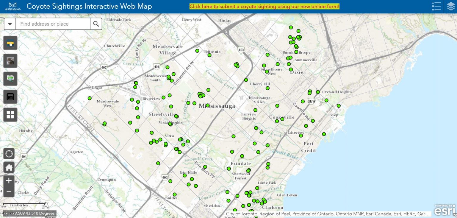 Mississauga’s Interactive Map for Coyote Sightings – City of Mississauga