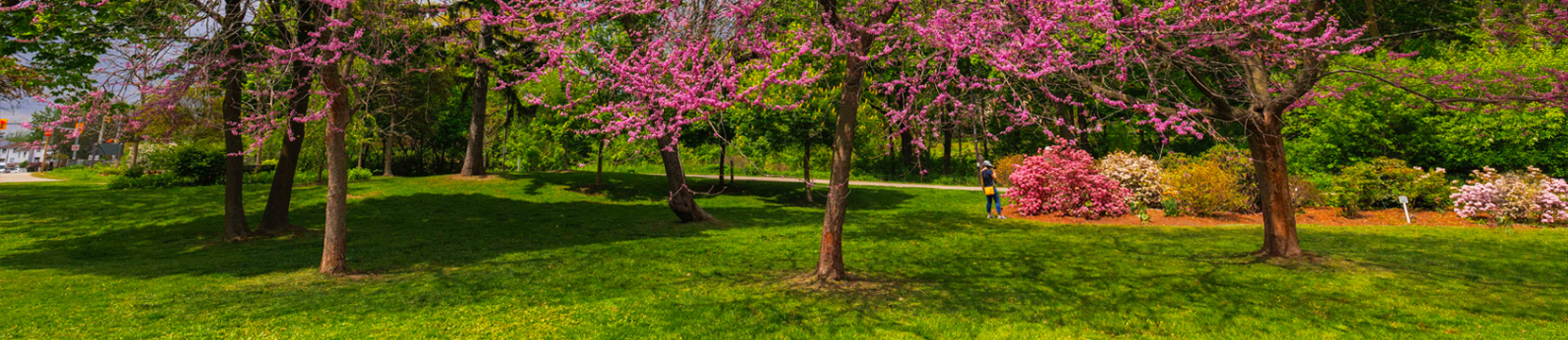 Parks – City of Mississauga