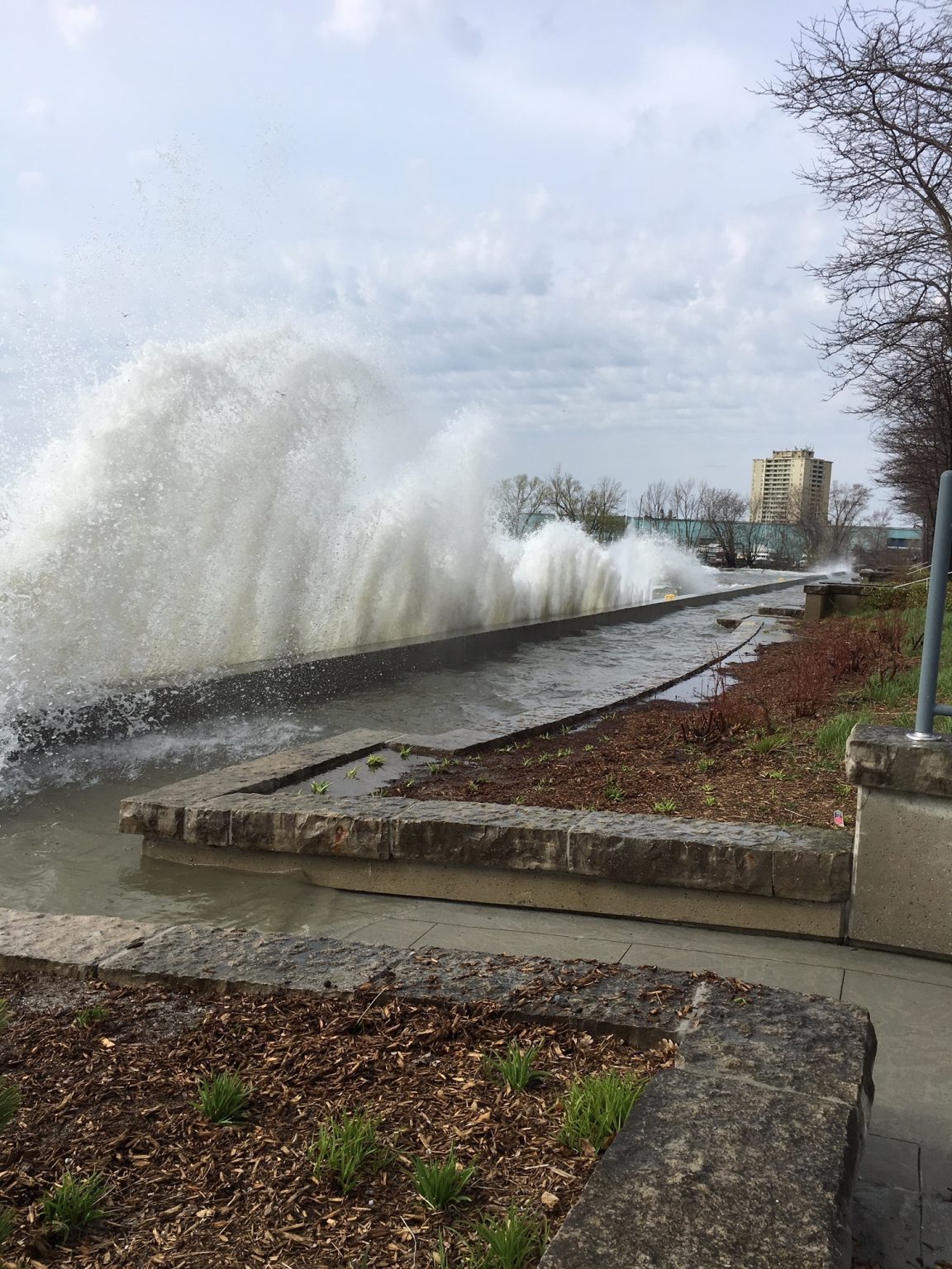 Making climate change a priority for Mississauga: Taking meaningful ...