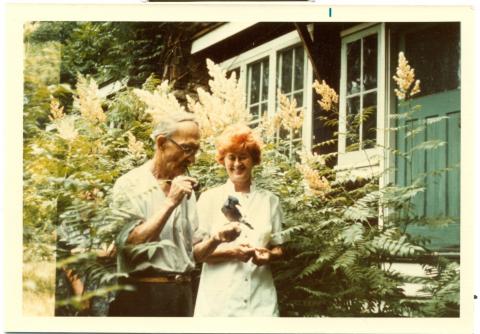 Roy Ivor – Arts and culture