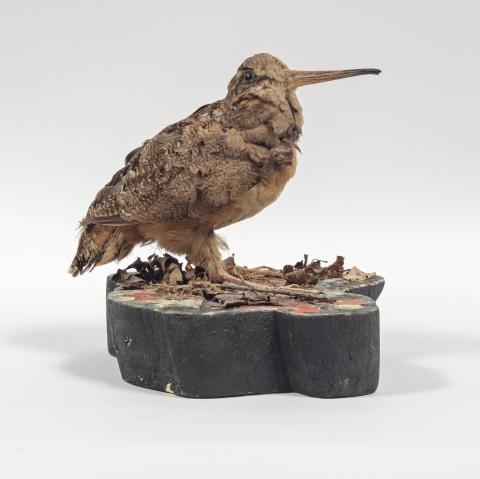 Roy Ivor – Arts and culture