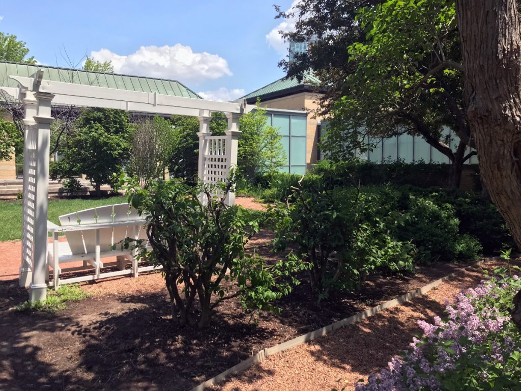 Celebration Square – Arts and culture