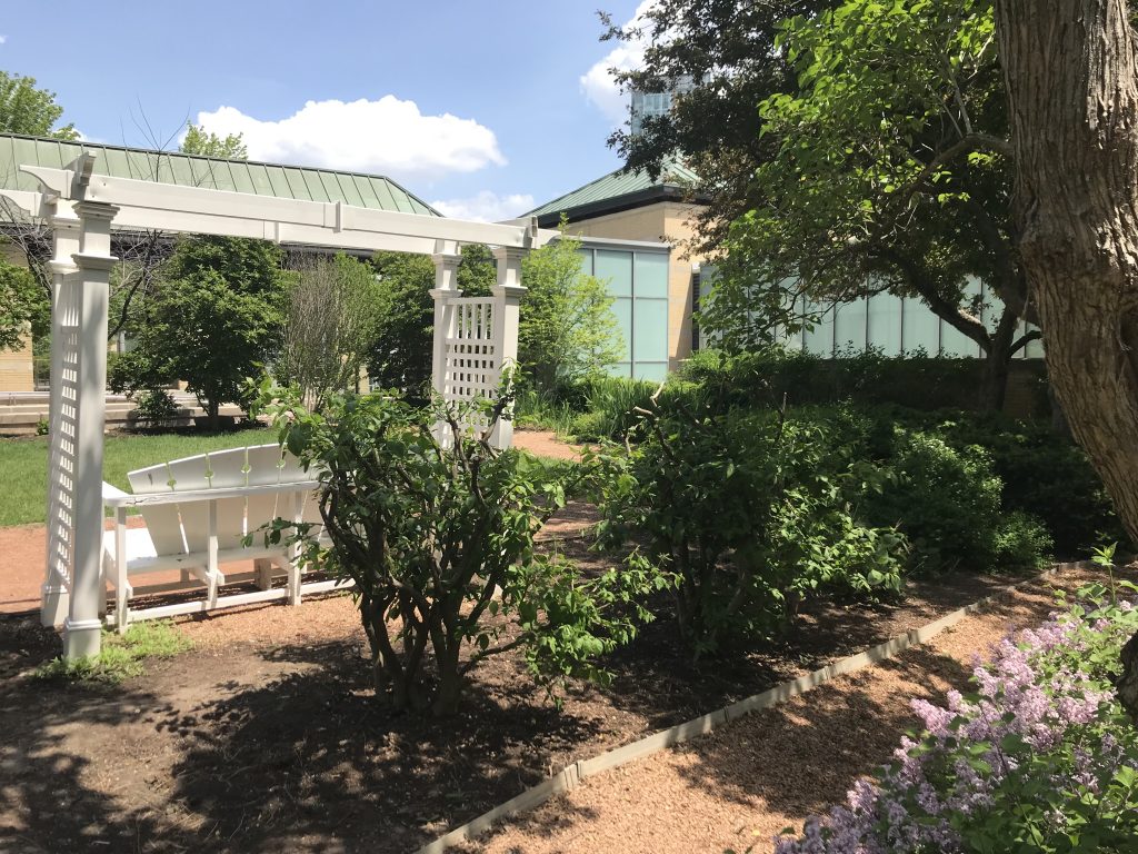 Celebration Square – Arts and culture