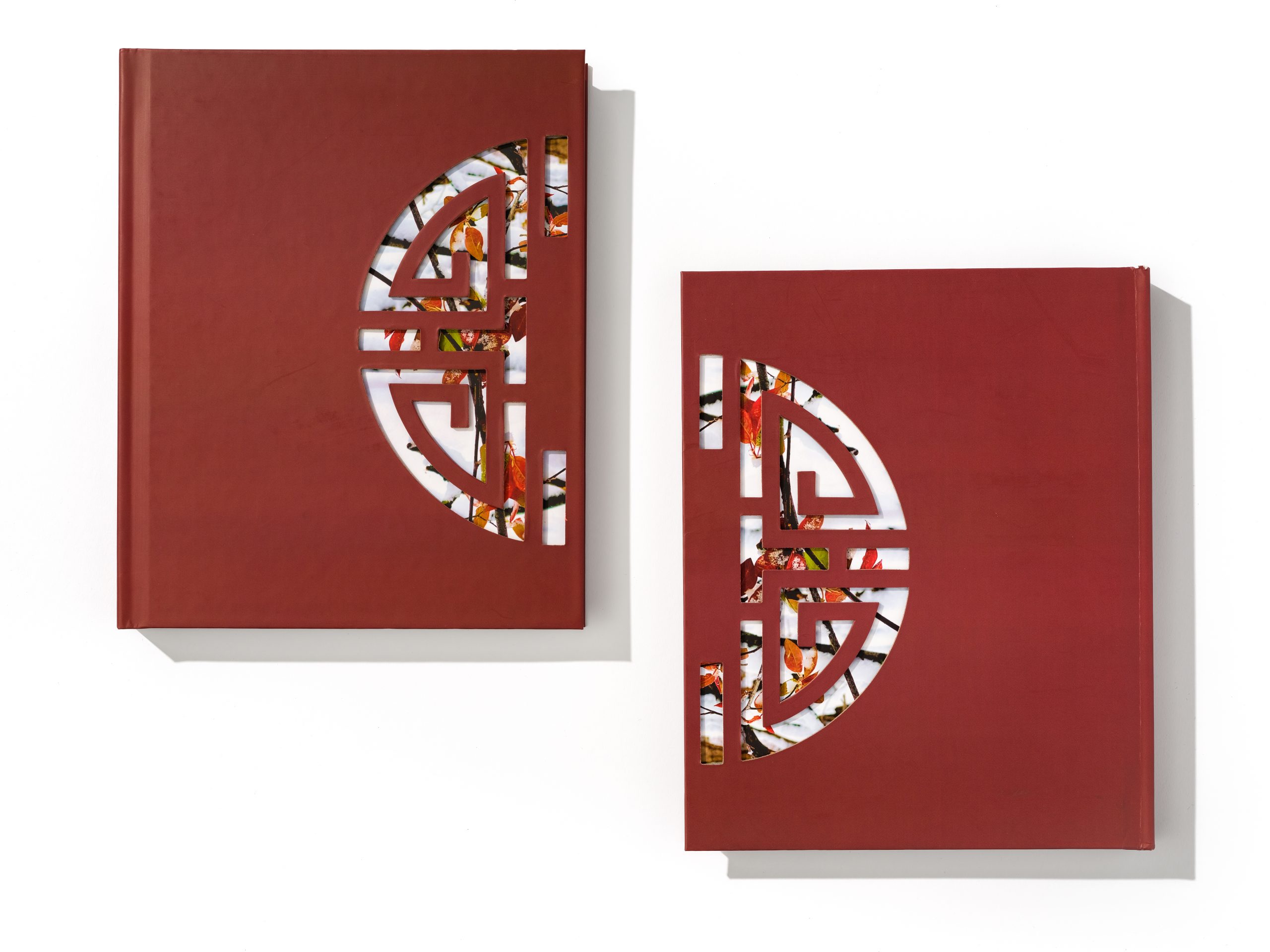 Clair Fang – Arts and culture