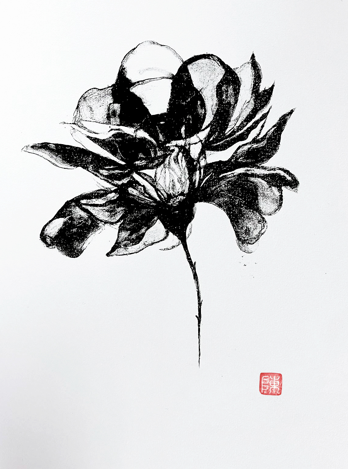 Helen Tran – Arts and culture